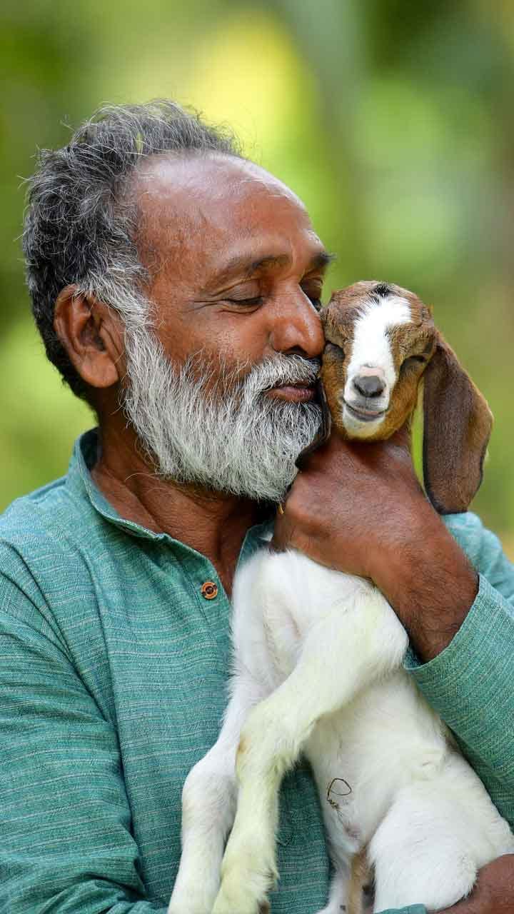 Luxury farmstay in kerala | Farmstay in kerala